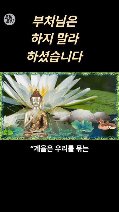 부처님말씀 왜 부처님은 하지 말라 하셨을까 부처님말씀 부처님가르침 명언 좋은글 인생조언 자기수행 불교가르침