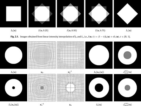 figure 2 1 from medical image interpolation based on multi resolution