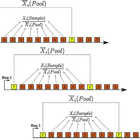 Normalization By Reference Pool Measurements In A Gc Ms Sequence Plan Download Scientific