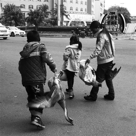 作品浏览—中国摄影报