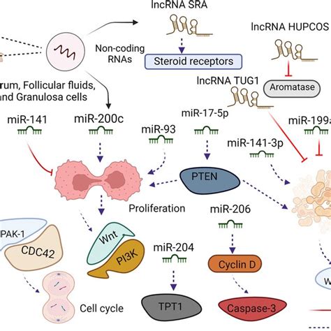 Different Multi Omics Approaches Such As Genomics Epigenomics