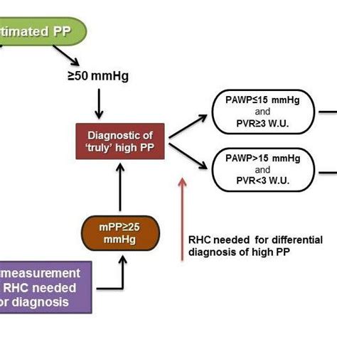 Diagnostic Algorithm For Approaching Patients With Suspected High
