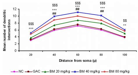 Basal Dendritic Intersections Of Hippocampal Ca3 Neurons In Rats