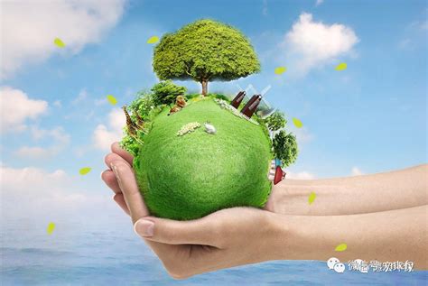 公民生态环境行为规范澎湃号·政务澎湃新闻 The Paper