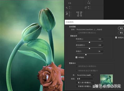 匹配颜色（“中和”解析、调整偏色、调色） Ps调色系列11 知乎