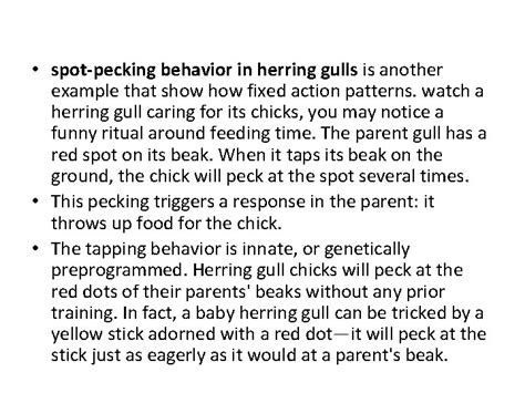 Fixed Action Patterns Examples At Madison Calder Blog