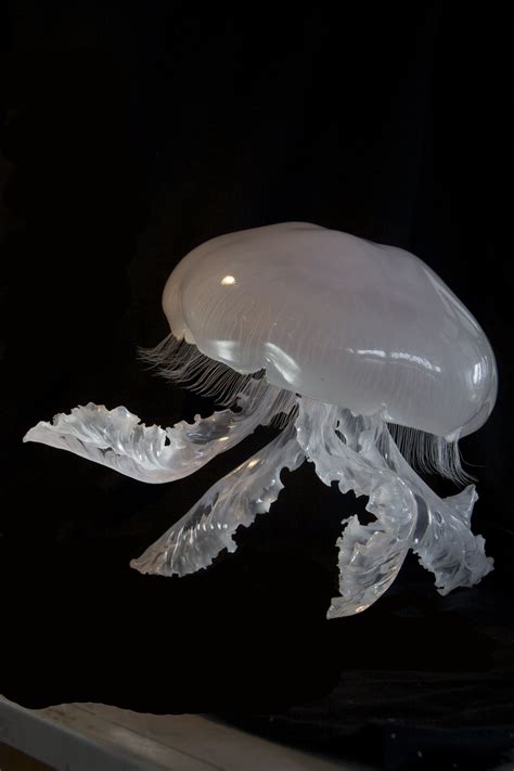 Aurelia Aurita — 10 Tons