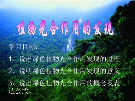 植物光合作用的发现2 1