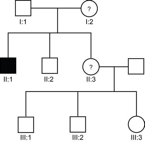 Genetics An Introduction To Risk Analysis In X Linked Recessive Disorders