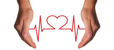 Echo Program Saffron