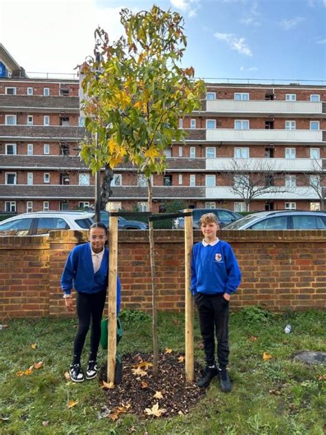 St George S CE Primary Babe Tree Rific Courageous Advocates