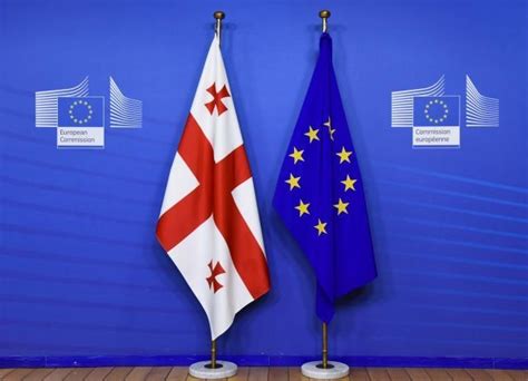 Statement On The Final Adoption Of The Law On Transparency Of Foreign Influence In Georgia