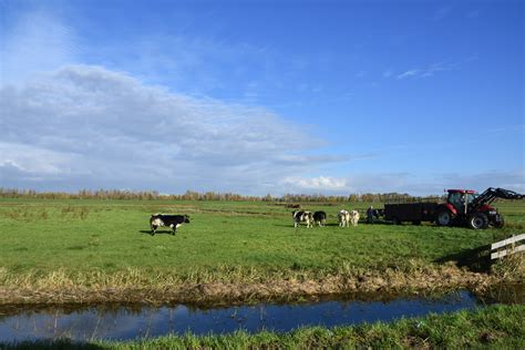 Vroege Vogels Foto Weer En Landschap Arkemheen