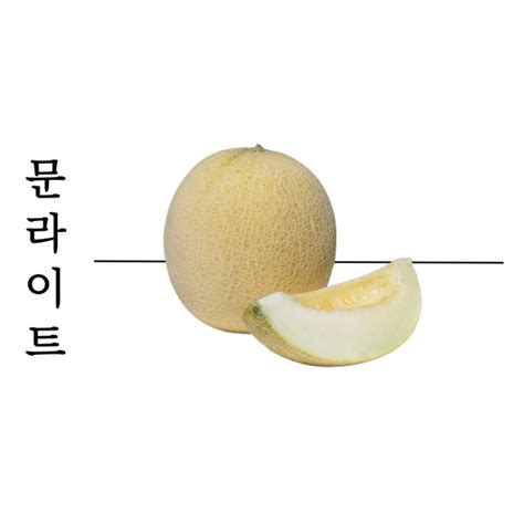 농업회사법인 권농종묘 주