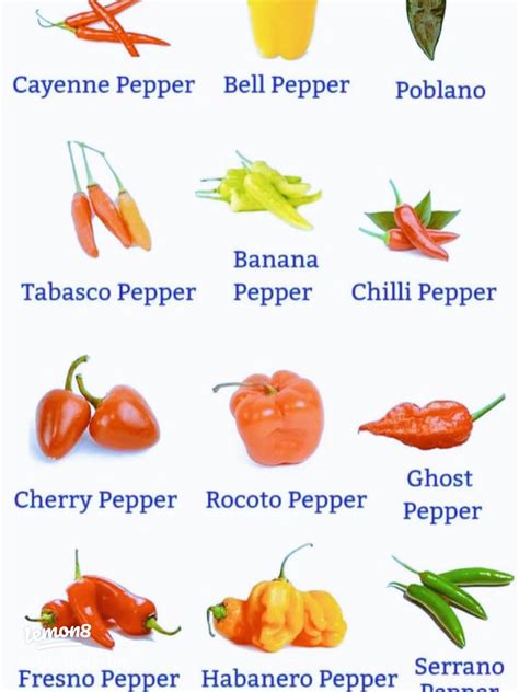 Chili Pepper Identification Chart The Big List Of Hot Peppers