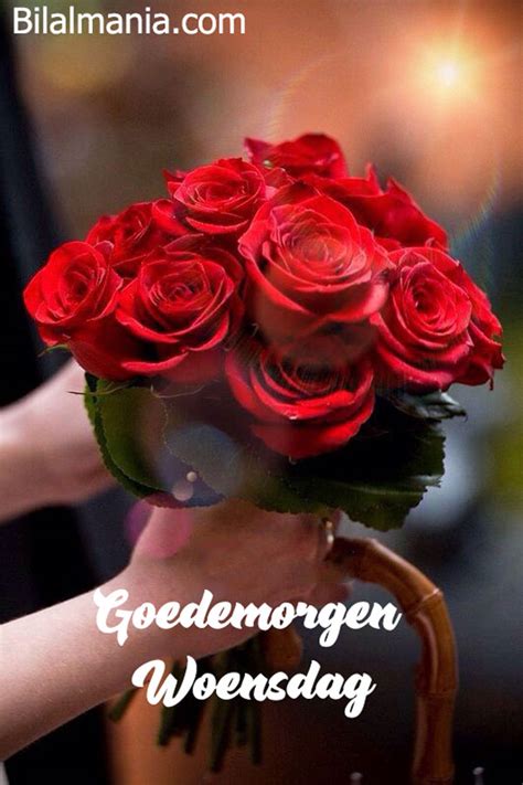 Fijne Woensdag Afbeeldingen Bilalmania