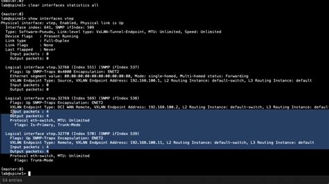 Seamless Evpn Vxlan Stitching Verification Juniper Networks Us