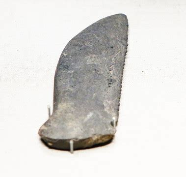 锯齿石镰图片素材 锯齿石镰设计素材 锯齿石镰摄影作品 锯齿石镰源文件下载 锯齿石镰图片素材下载 锯齿石镰背景素材 锯齿石镰模板下载 搜索中心