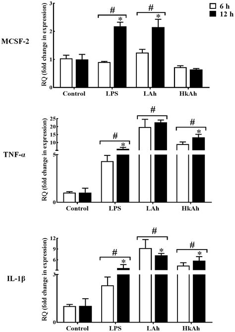 Frontiers Molecular Characterization Gene Expression And Functional