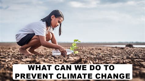 What Is Global Warming Robinage