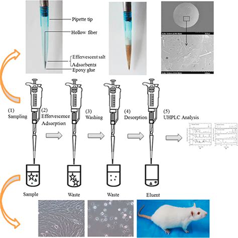 The Overview Of The Analysis Process Of The Ept Spe Hplc 62 Download Scientific Diagram