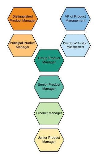 The Career Ladder Of A Product Manager Navigate It Better Paperblog