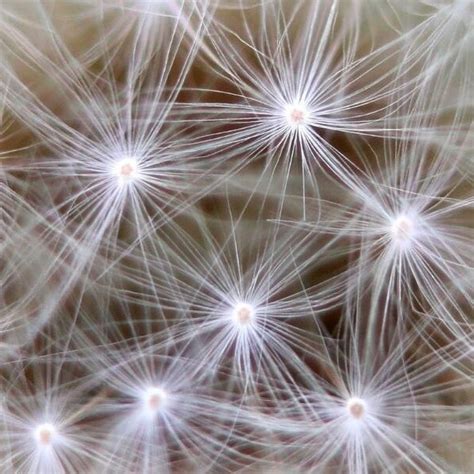 Neuropraxis Evidence Has Shown That Our Brain Has A