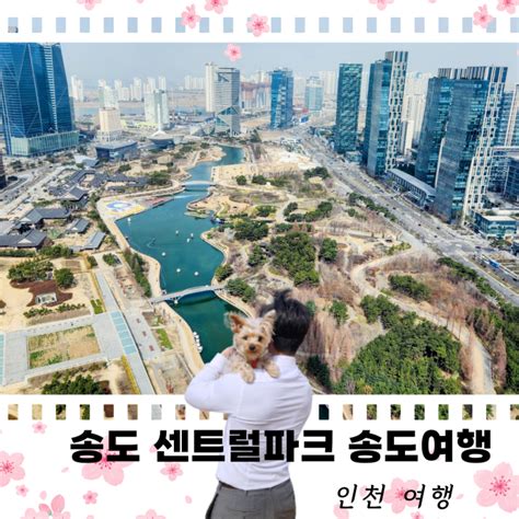 인천 가볼만한곳 송도 센트럴파크 공원 벚꽃주차문보트 가격 자전거대여애견 동반 여행지 네이버 블로그