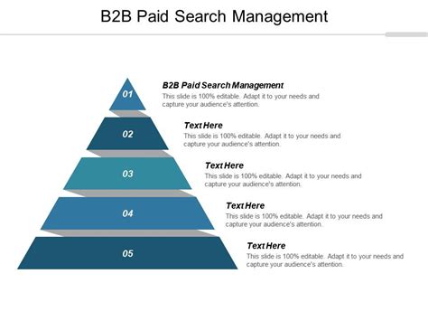 B2b Paid Search Management Ppt Powerpoint Presentation Summary Grid Cpb