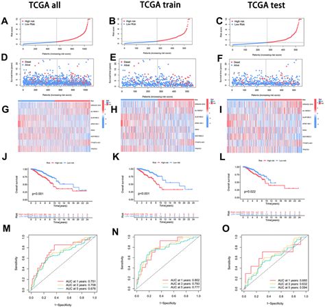 Precision Prognostication In Breast Cancer Unveiling A Long Non Coding