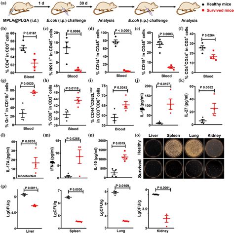 In Vivo Protection For E Coli Induced Sepsis Again In Survival Mice A