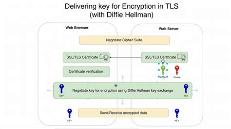 HTTPS là gì Giải thích chi tiết SSL TLS bằng chuyện tình Chó và Mèo