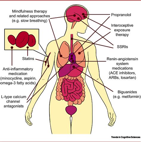 Table 1 From Interoceptive Pathways To Understand And Treat Mental Health Conditions Semantic