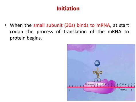 Genetic Code And Translation Pptx Chemistry Science