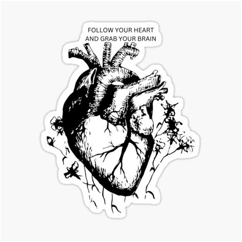 Follow Your Heart And Grab Your Brain Sticker For Sale By Julia210179