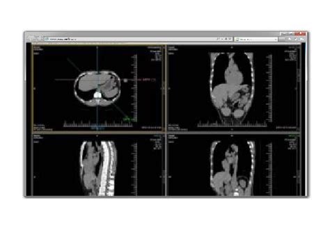 Dicom Tools Visualisation Conectivity Collaboration