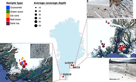 Giant Viruses Have Been Found On Greenlands Ice Sheet Astrobiology