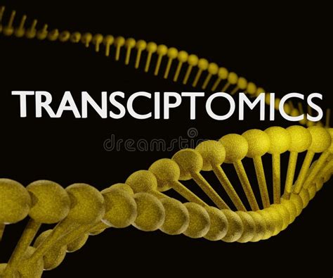 Transcriptomics Stock Illustrations 215 Transcriptomics Stock