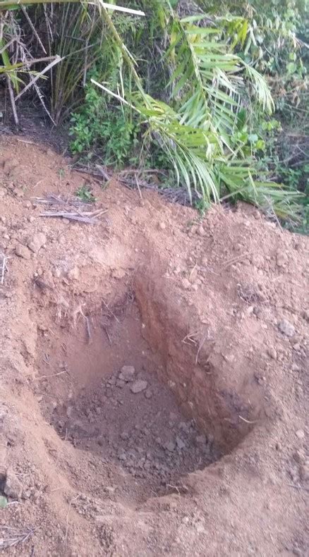 Corpos De Casal Desaparecido Desde O Início Do Mês São Encontrados