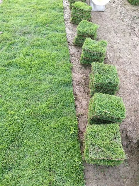 广西百慕大广西百慕大三角第4页大山谷图库