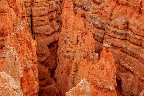 Dsc9410 Terry Lynn Ayers Flickr