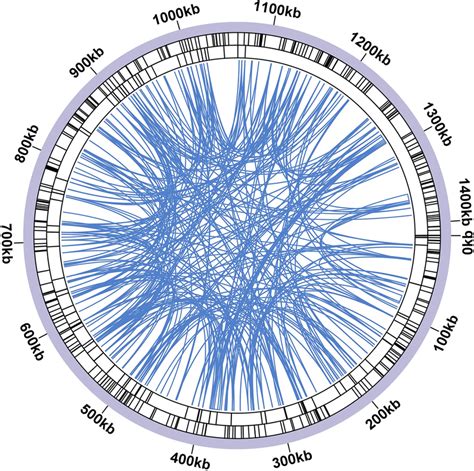 Repetitive Sequence Analysis Of The Mitogenome Of Carex Breviculmis