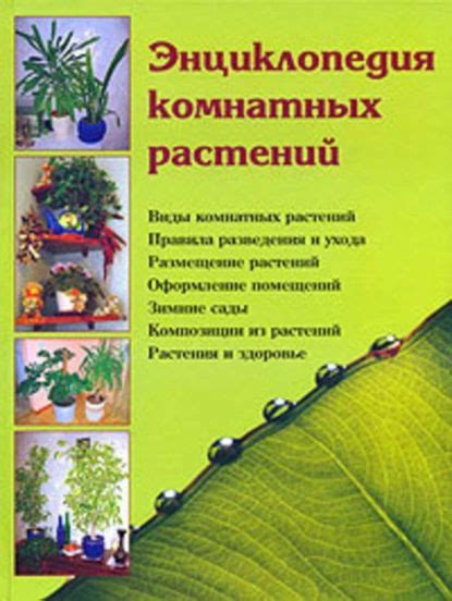 Энциклопедия комнатных растений | Логачева Наталья Ивановна, Шешко ...