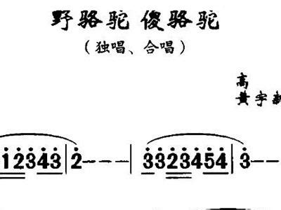 野骆驼 傻骆驼 歌谱 简谱