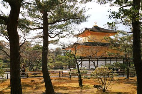 Kinkakuji寺庙金黄亭子 库存图片 图片 包括有 日语 节假日 寺庙 亭子 地标 有历史 37177841