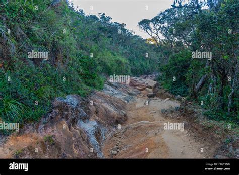 Natural Landscape Of Horton Plains National Park At Sri Lanka Stock