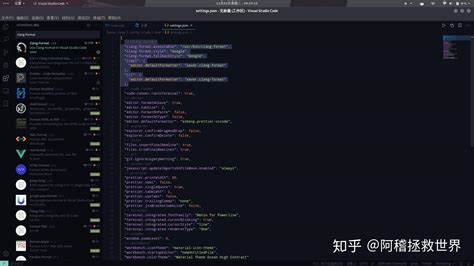 如何解决vscode语言服务器崩溃？ 知乎