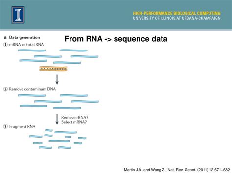 PPT RNA Seq And Transcriptome Analysis PowerPoint Presentation Free Download ID 2993417