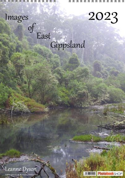 Artist Profile Leanne Dyson Great Alpine Gallery